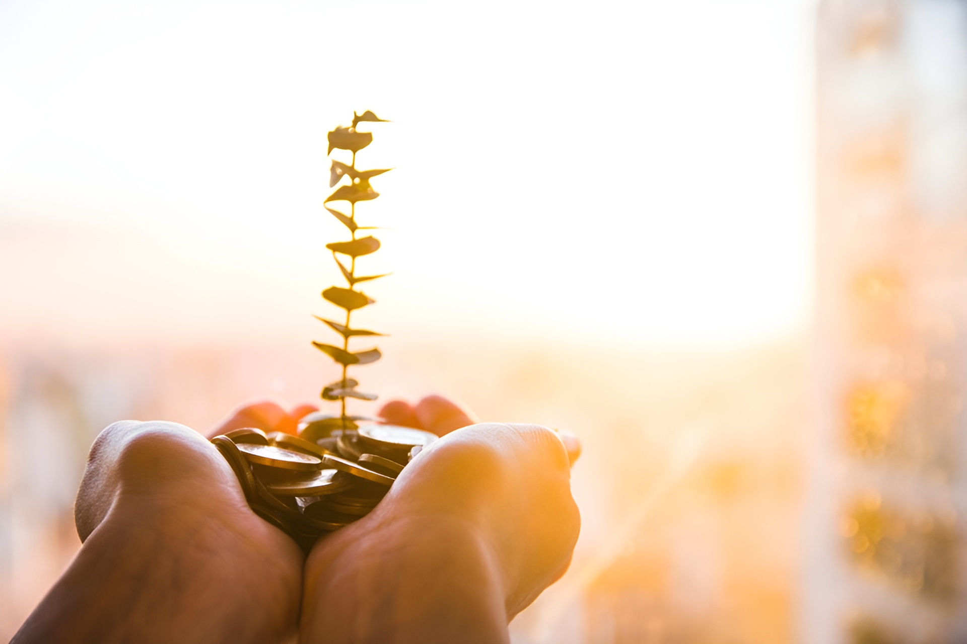 Gratitude and Nature: Connecting with the Earth - Gratitude Journal and App